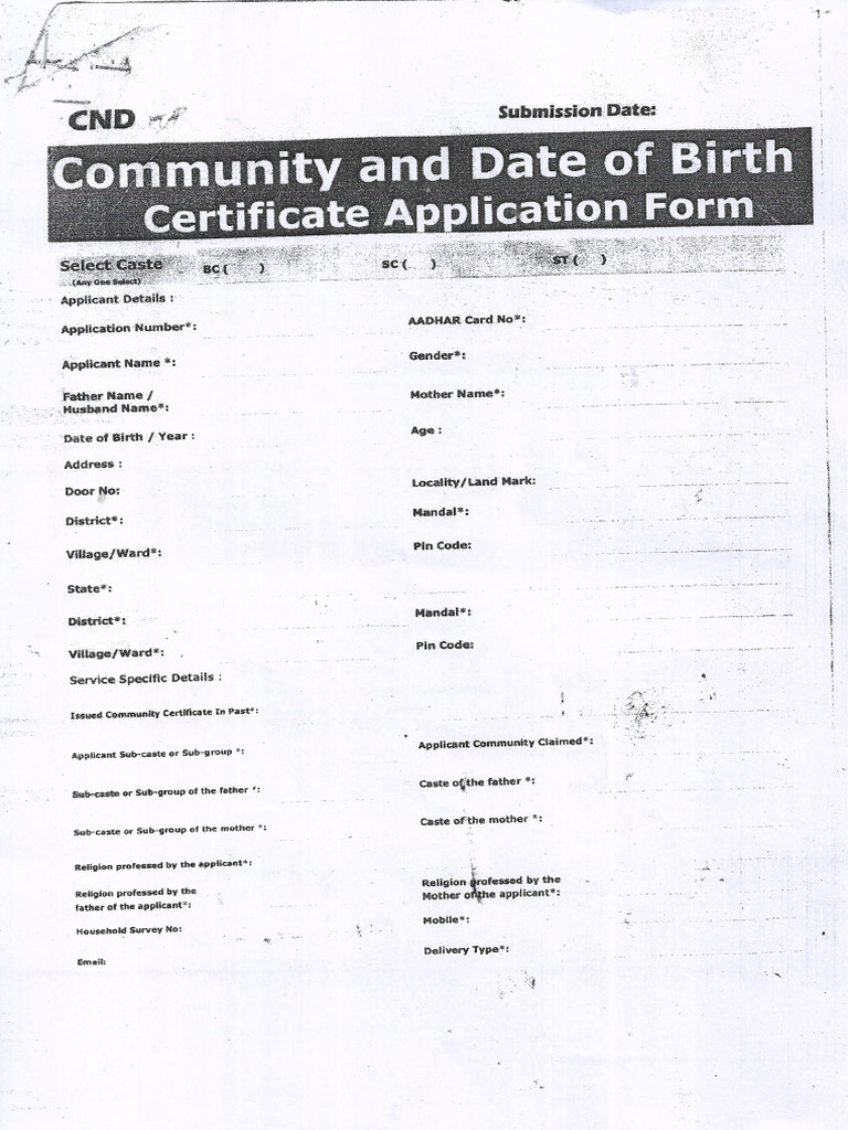 Cast Application | PDF