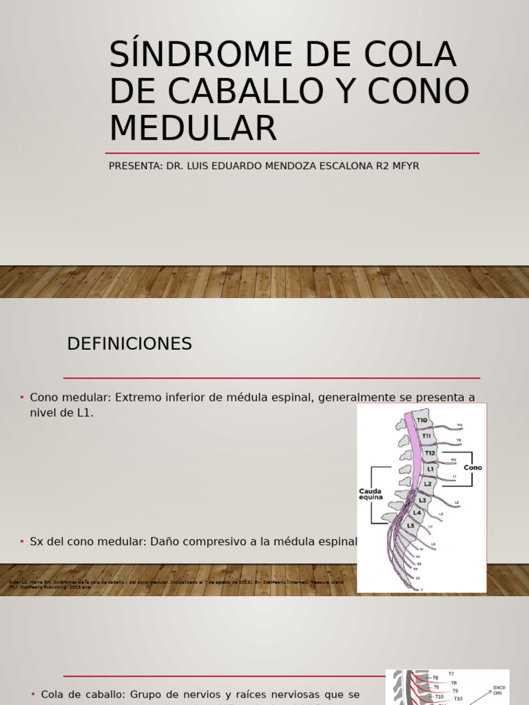 Síndrome de cola de caballo y cono medular | PDF | Enfermedades y ...