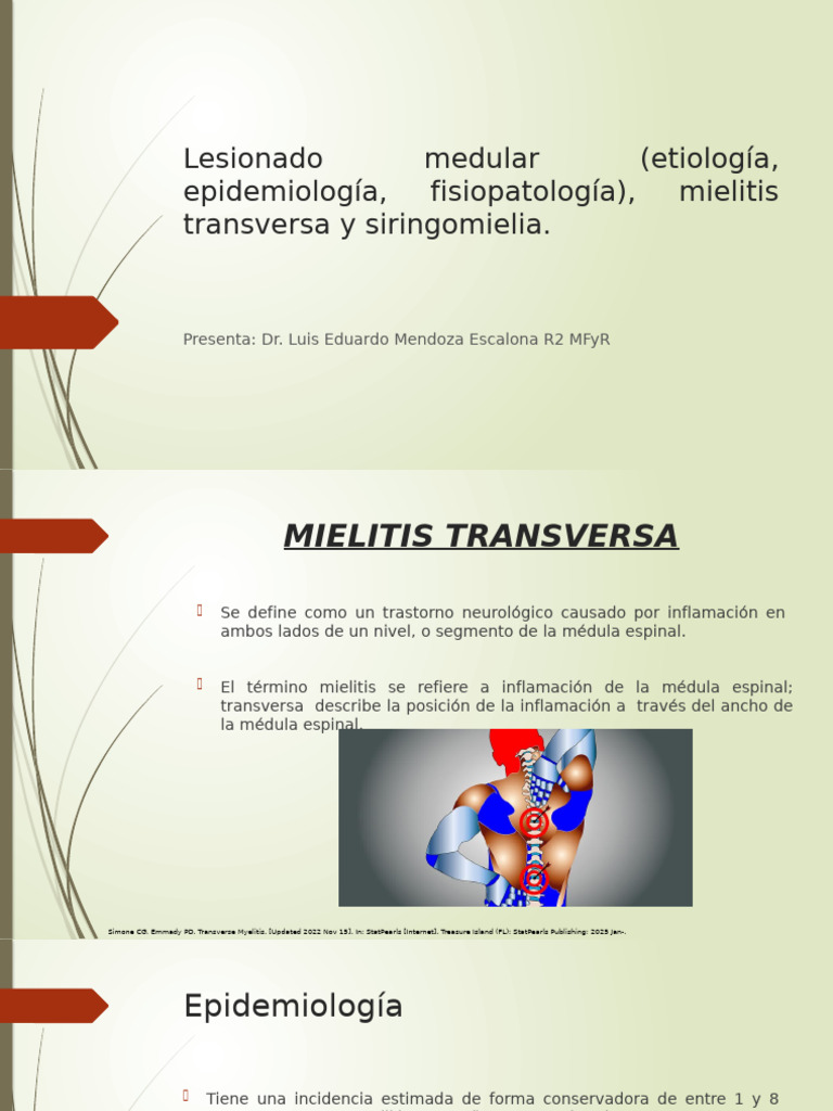 Mielitis Transversa y Siringomielia: Guía Completa | PDF ...