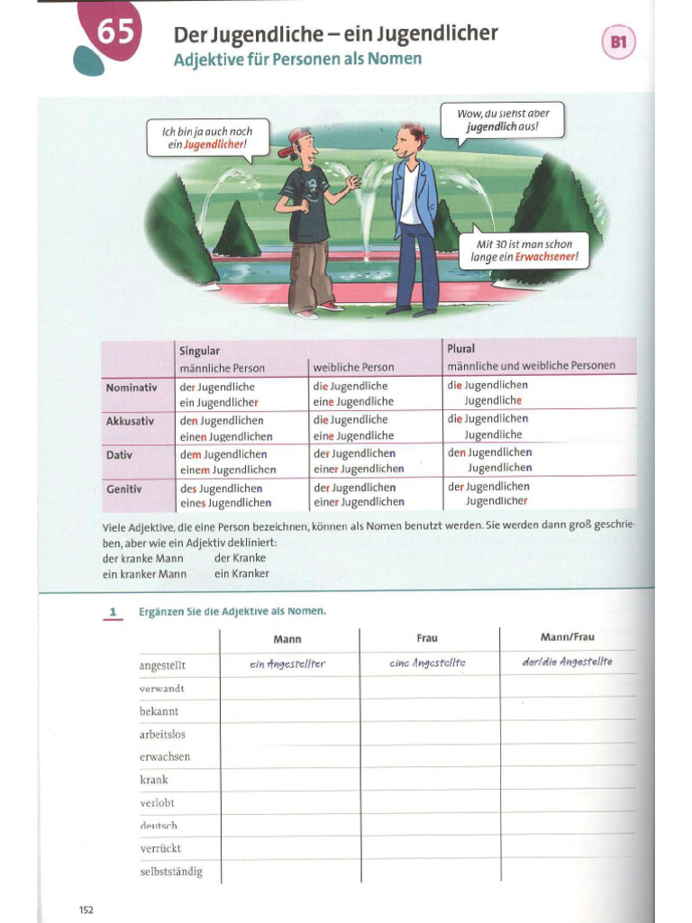 N Deklination | PDF
