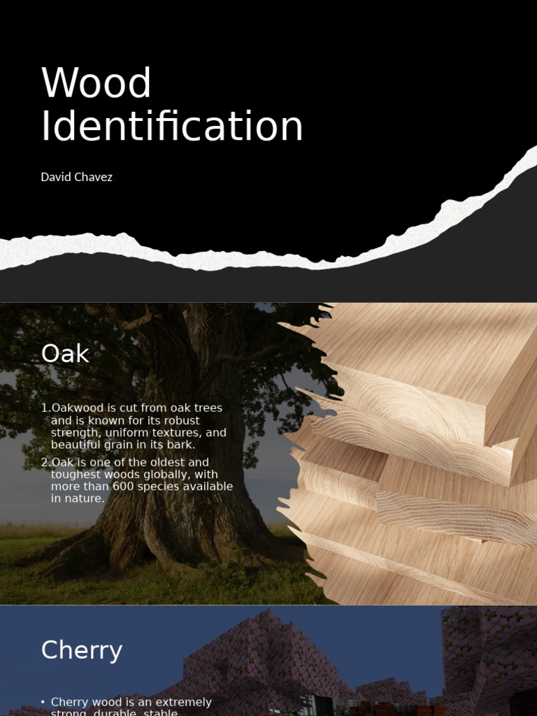 Wood Type Identification | PDF