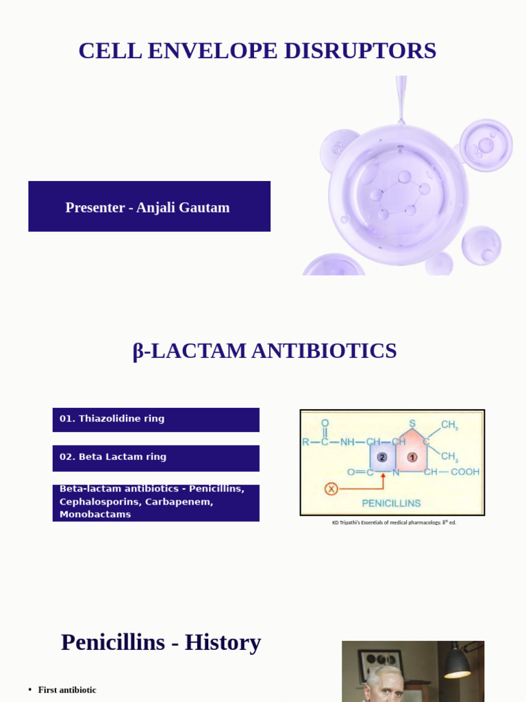cell wall disruptors | PDF | Penicillin | Beta Lactamase