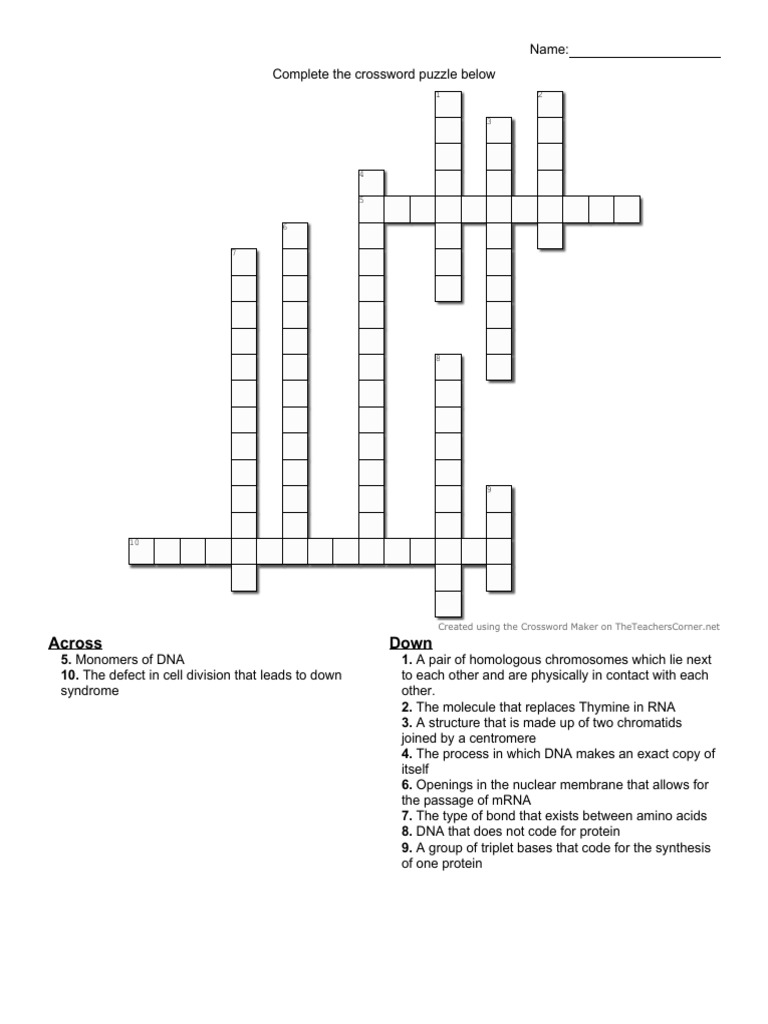 Crossword Meiosis + Dna | PDF