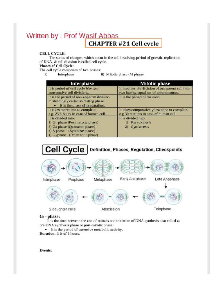Chapter # 21 Notes | PDF