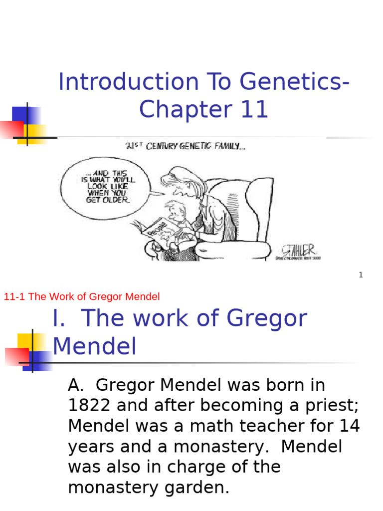 Introduction To Genetics Chapter 11 | PDF | Meiosis | Dominance (Genetics)