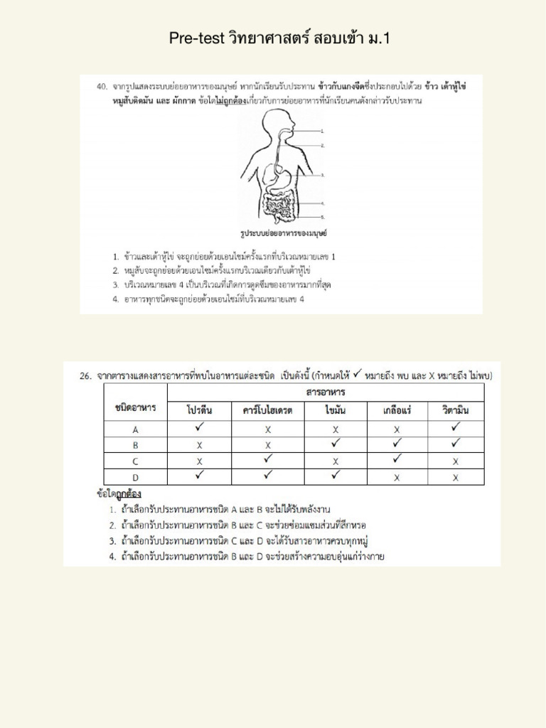 Pre Test | PDF