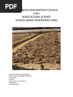 Food and Nutrition SBA Time Plan Sheet | PDF