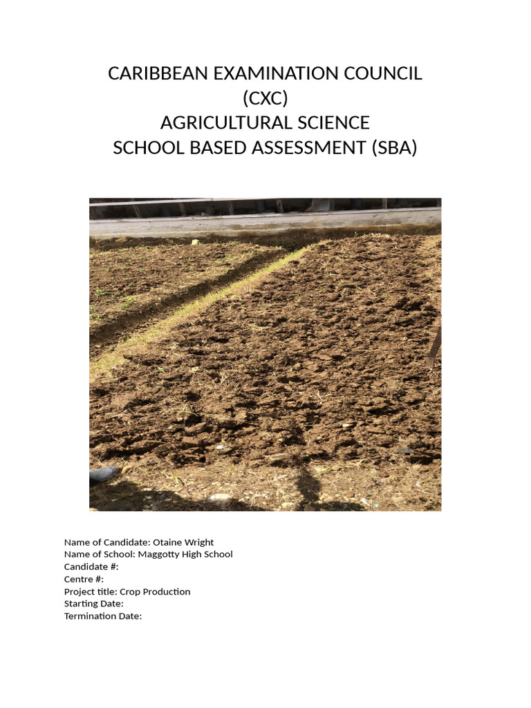 Agricultural Science SBA (Crop Production) | PDF | Fertilizer | Soil
