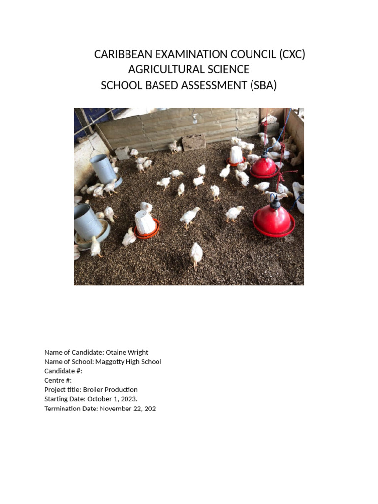 Agri SBA Broiler Production | PDF | Broiler