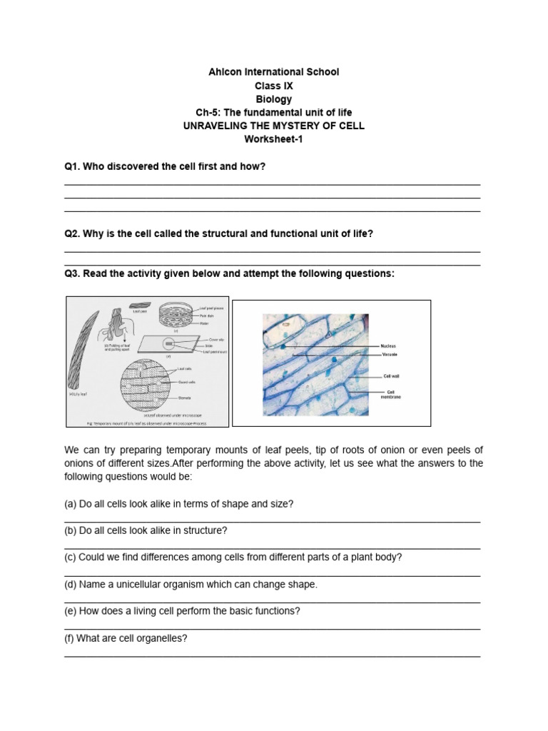 The Fundamental Unit of Life - Worksheet-1 - Class Ix | PDF