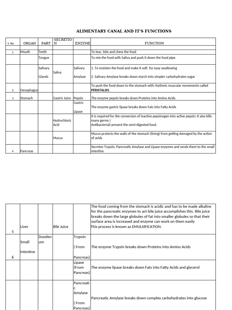 Biology - ALIMENTARY CANAL AND IT'S FUNCTIONS | PDF | Digestion | Stomach