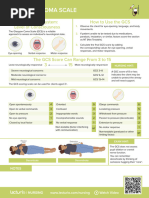 Neurological Observation Chart - GCS - Pupil Size | PDF