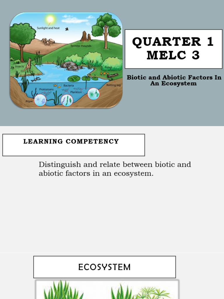 Biotic and Biotic Factors in An Ecosystem | PDF