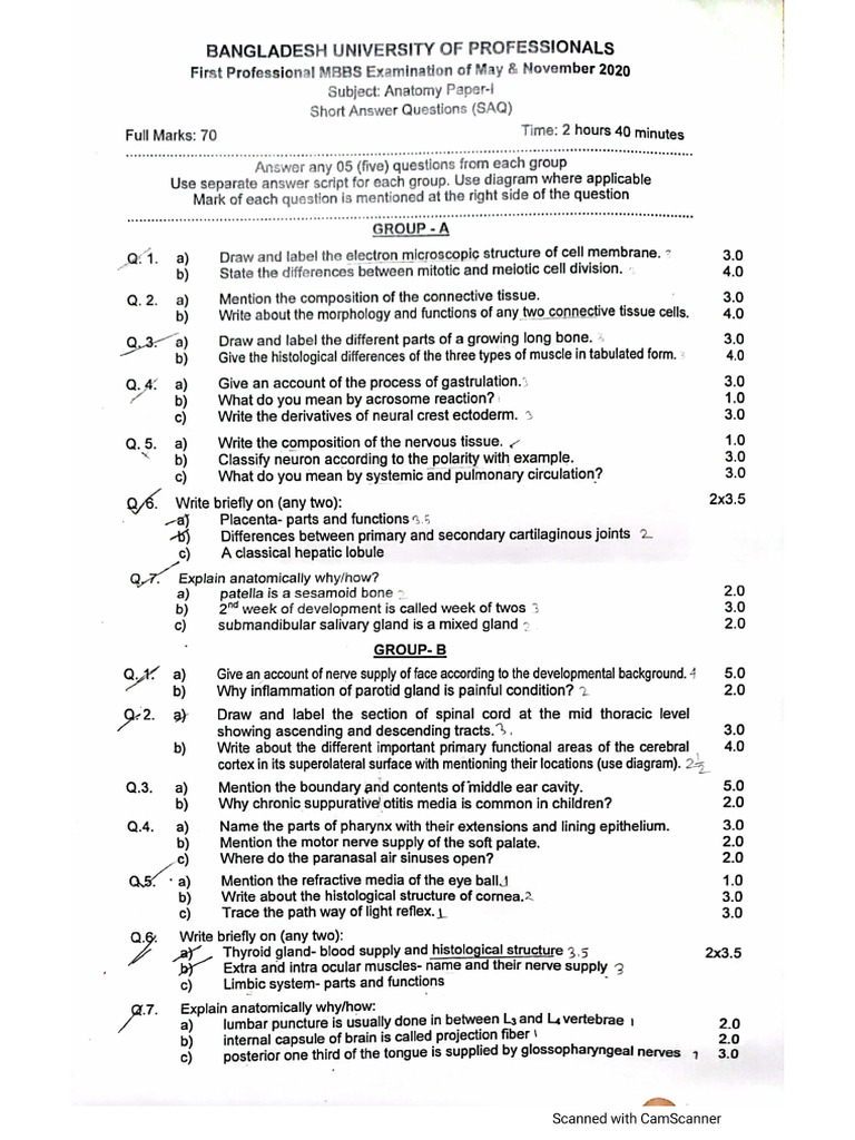 Anatomy Paper I | PDF
