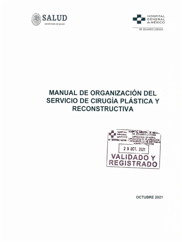 Man Org Cir Plast | PDF | Administración Pública | Hospital
