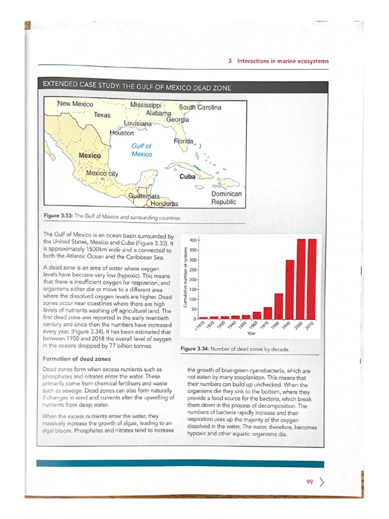 Warm Up Dead Zones | PDF