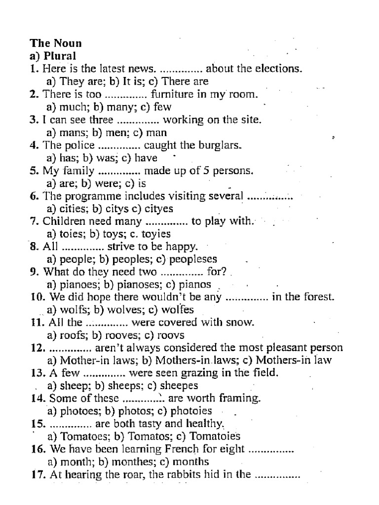 Noun Article Tests | PDF