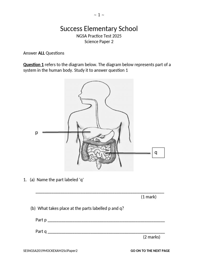 NGSA 2025 Science Paper 2 Practice | PDF | Flowers