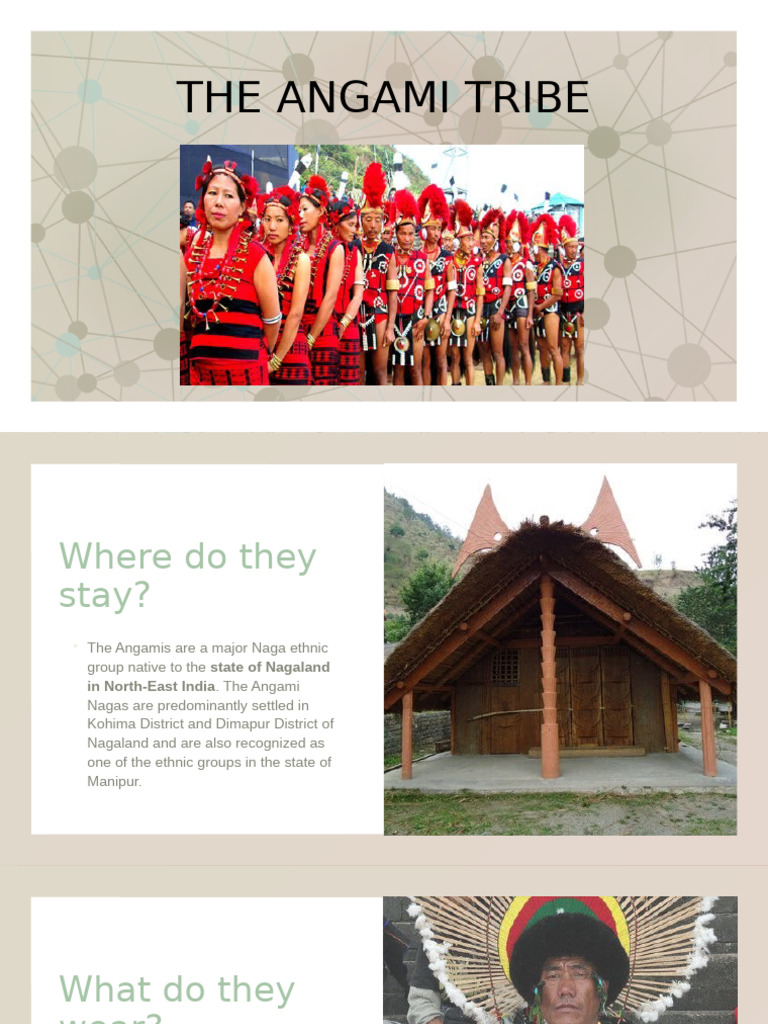 Angami Tribe: Culture and Cuisine | PDF