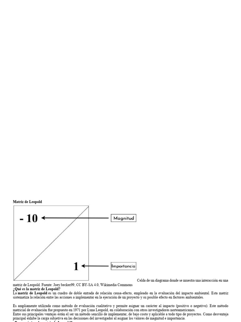 Ejemplo de Eia Bosque | PDF | Evaluación de impacto ambiental | Los bosques