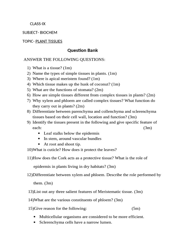 Chapter6-PlantTissues-Worksheet2(new) | PDF