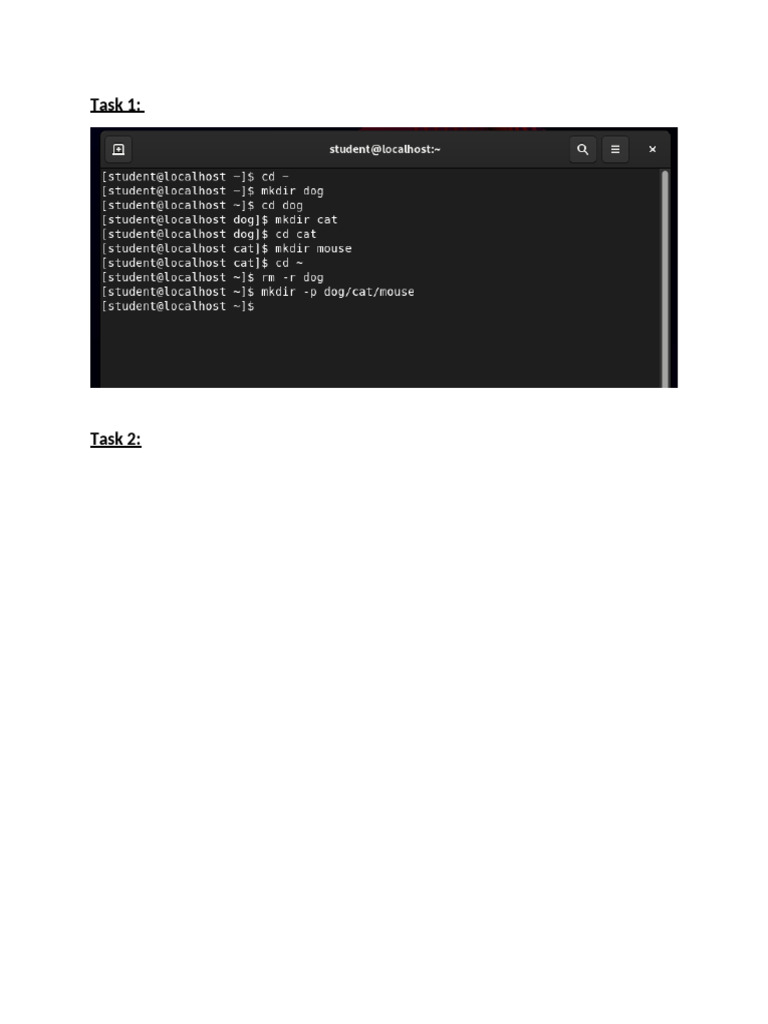 Lab 5 OS | PDF