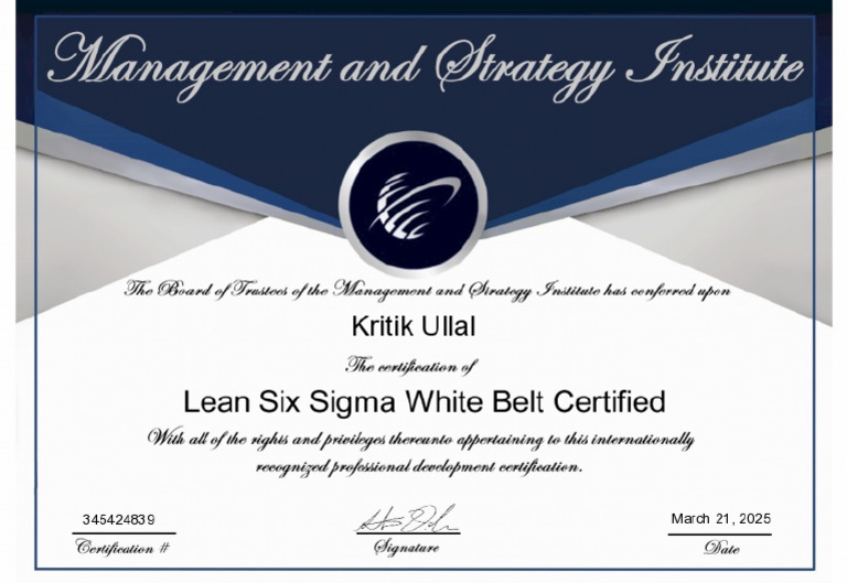 Lean Six Sigma White Certificate | PDF