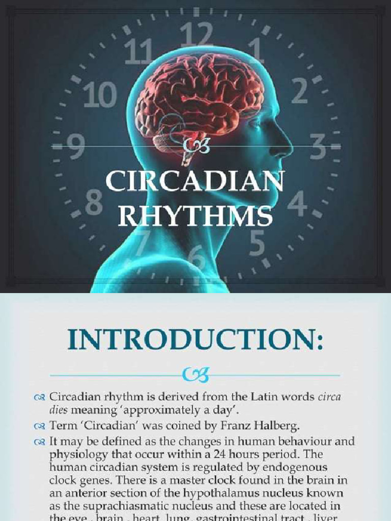 Circadian Rhythm 1 | PDF