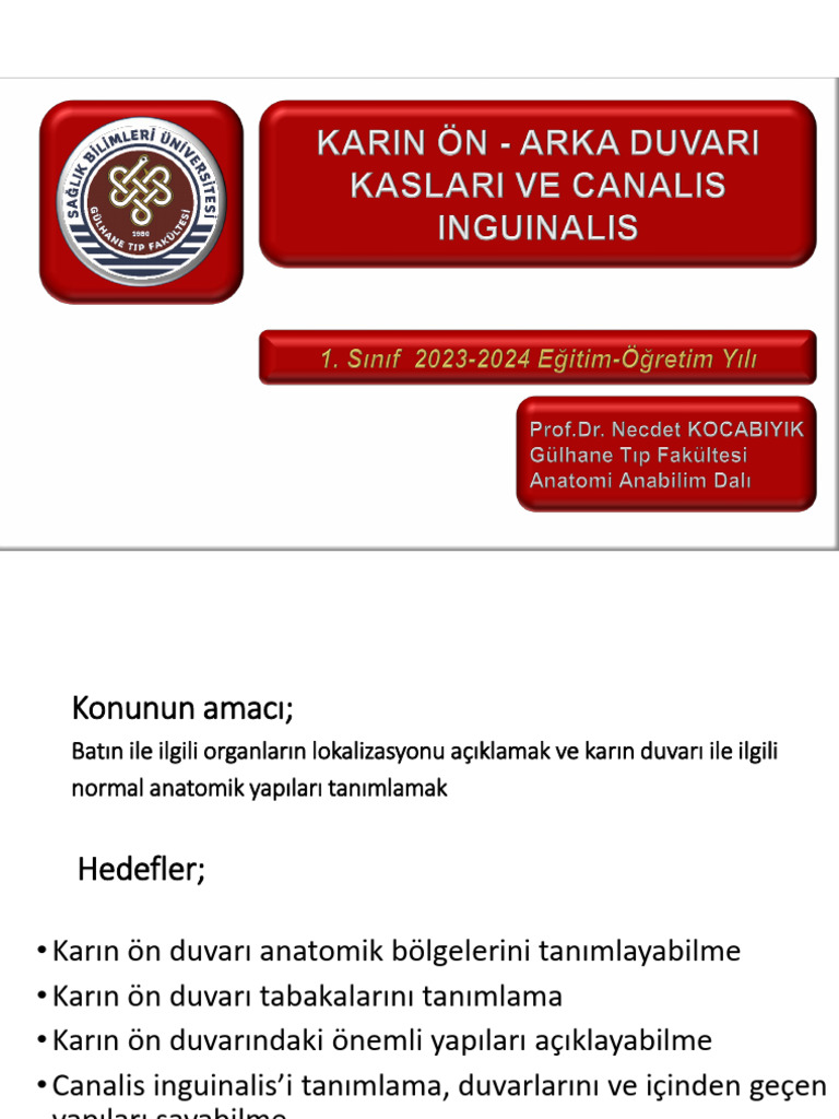 GTF_Sınıf_1_Kurul_3_2024_03_20_Saat_3,4_NKocabıyık_Karın_ön_arka | PDF