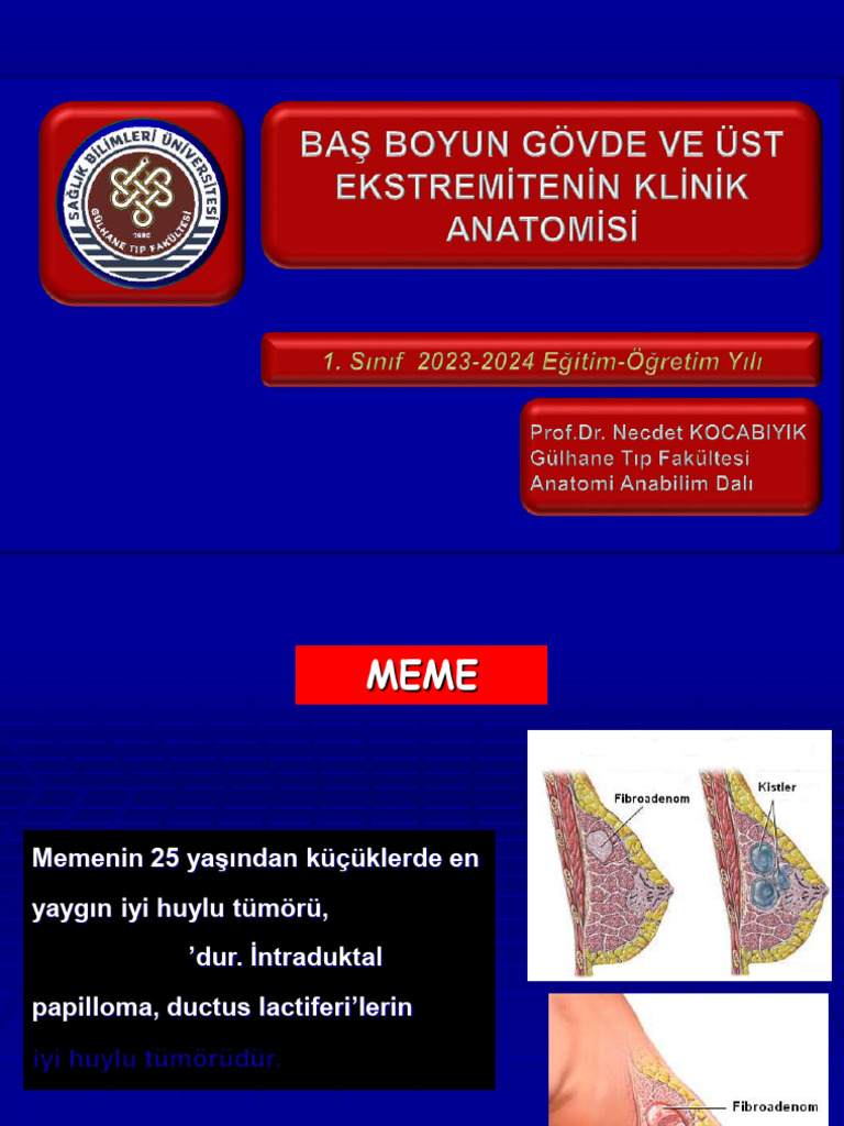 GTF Sınıf 1 Kurul 3 2024 03 26 Saat 2,3 NKocabıyık Baş Boyun Gövde | PDF