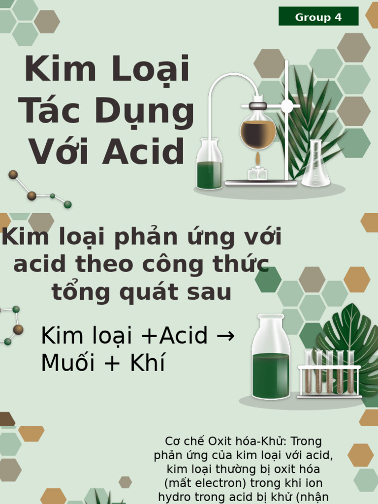 Kim Lo I Tác D NG V I Acid: Group 4 | PDF