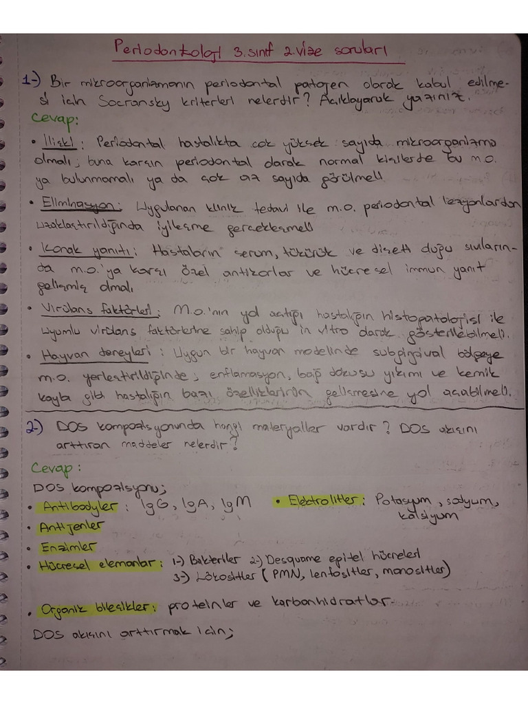 3.Sınıf Vize | PDF