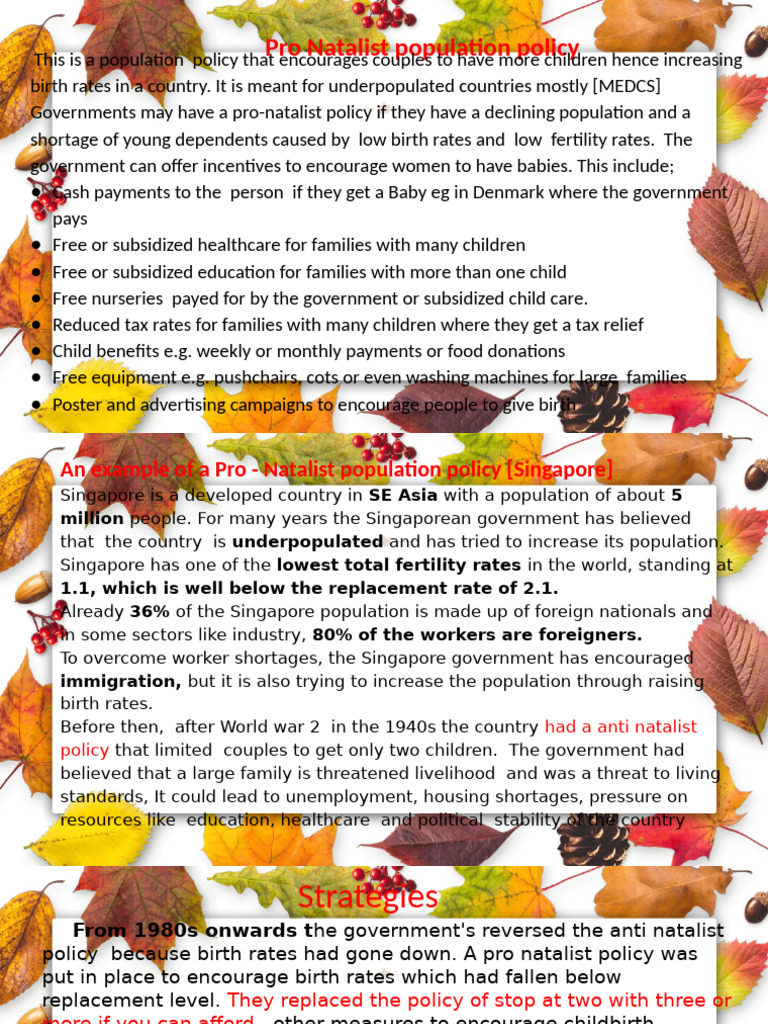 Pro - Natalist Polict | PDF | Economies | Demographic Economics