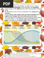 Population Pyramid & DTM Stages Guide | PDF