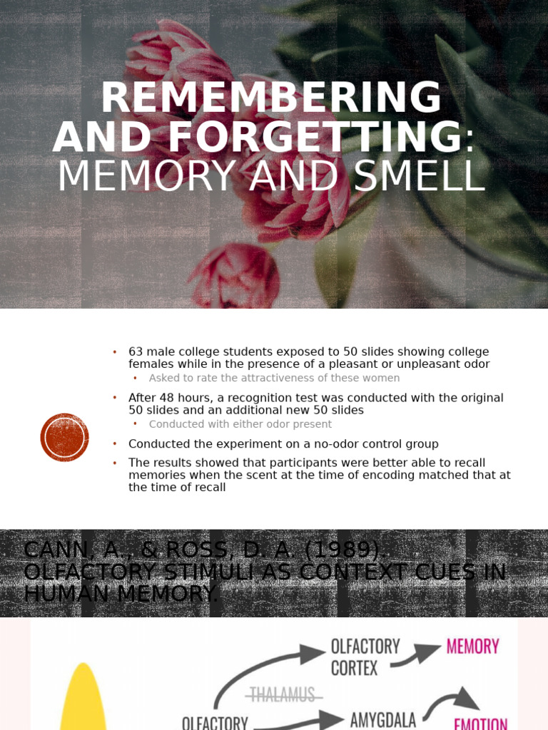 Memory Recall and Olfactory Cues | PDF
