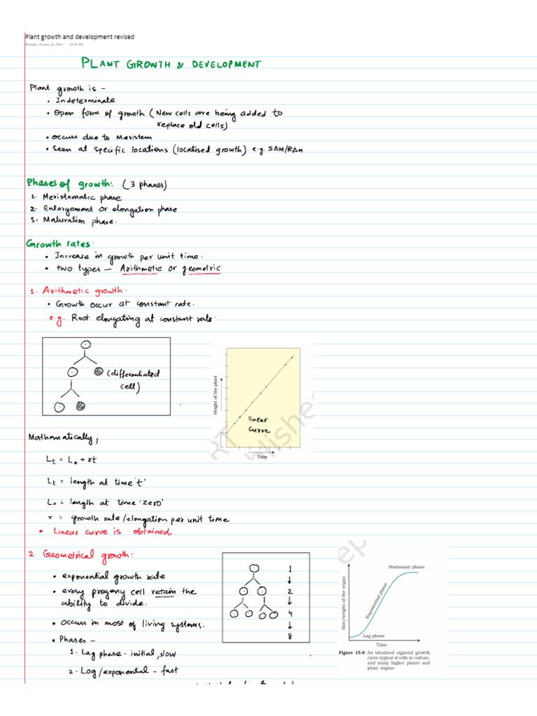 Plant Growth and Development Notes | PDF