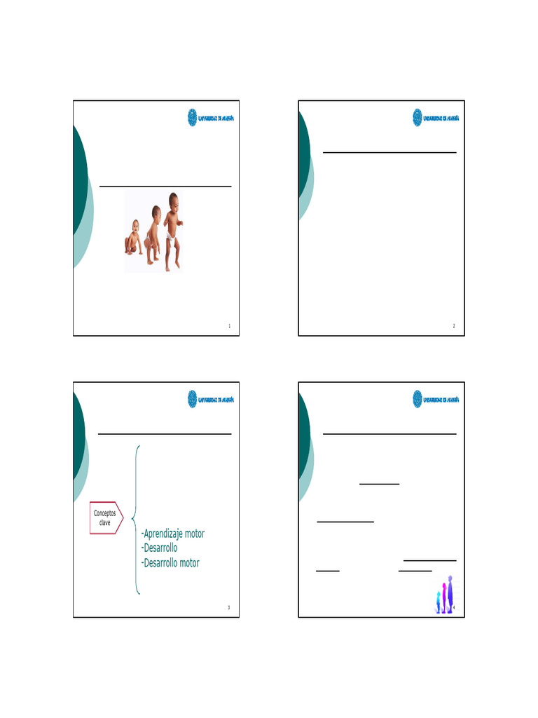 TEMA 1. Desarrollo Motor | PDF | Hueso | Sistema esquelético