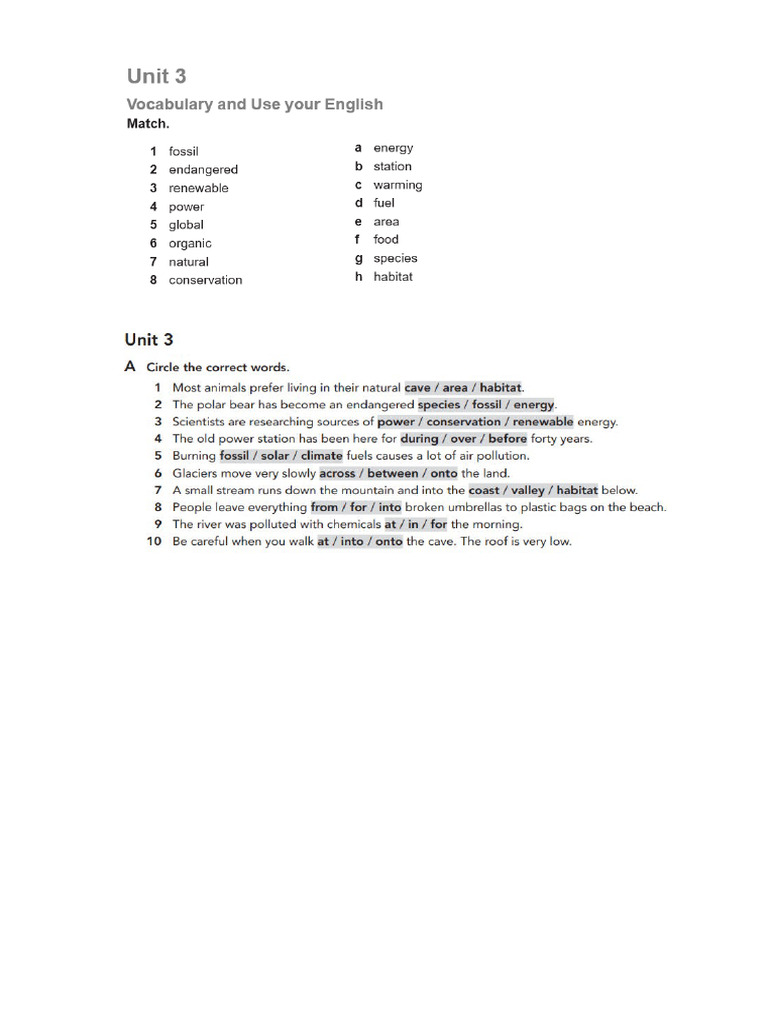 Unit 3 Extra Voc | PDF