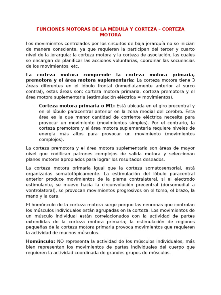 Funciones Motoras de La Médula y Corteza - Cap 3 | PDF | Neuroanatomía ...