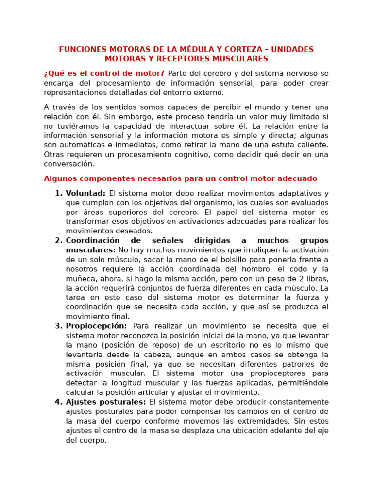 Funciones Motoras de La Médula y Corteza - Cap 1 | PDF | Músculo | Neurona motora