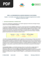 Structure Et Composition Chimique D'un Grain de Blé | PDF | Céréale | Blé
