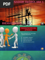 La Pirámide Del Control de Riesgos | PDF | Riesgo | Solvente