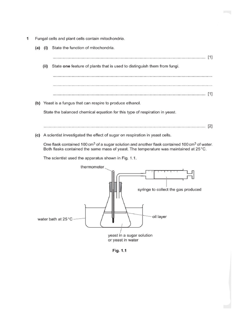 Past Paper 1 | PDF