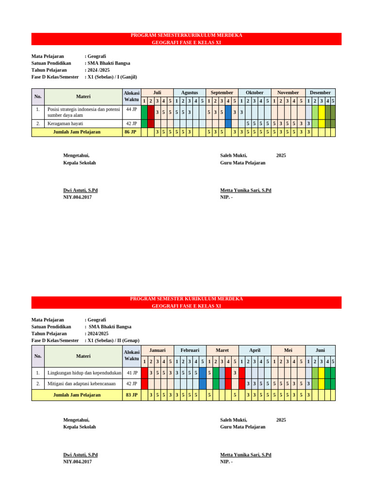 PROSEM Fase XI | PDF
