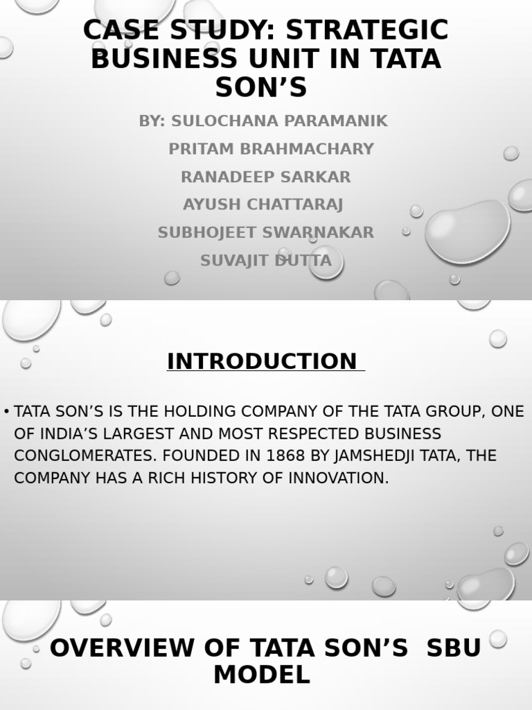 SBU Model (Tata Son's) | PDF