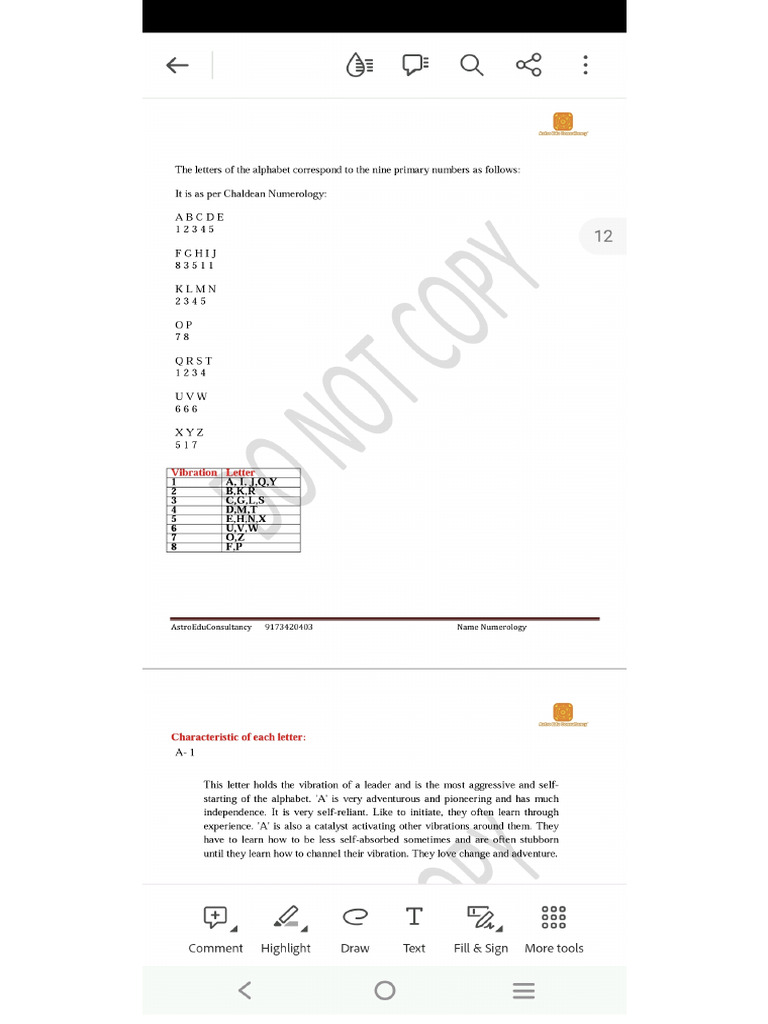 Basic Name Numerology Sample Page | PDF