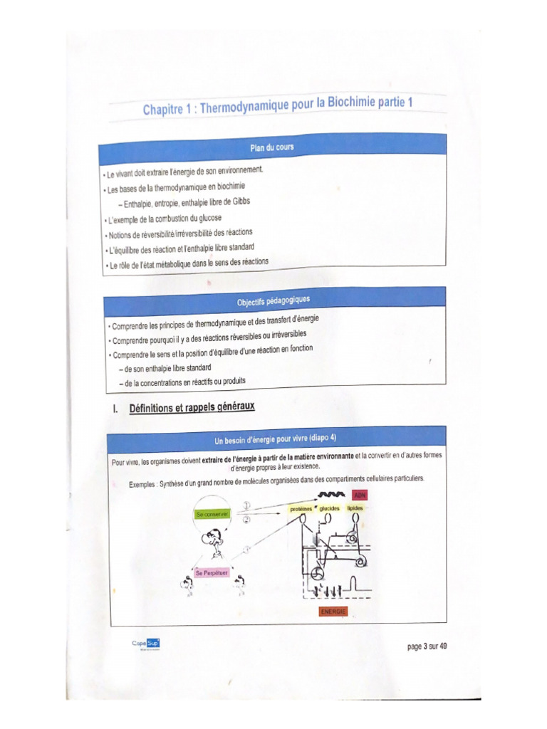 Chapitre 1 Thermodynamique Pour La Biochimie Partie 1 | PDF