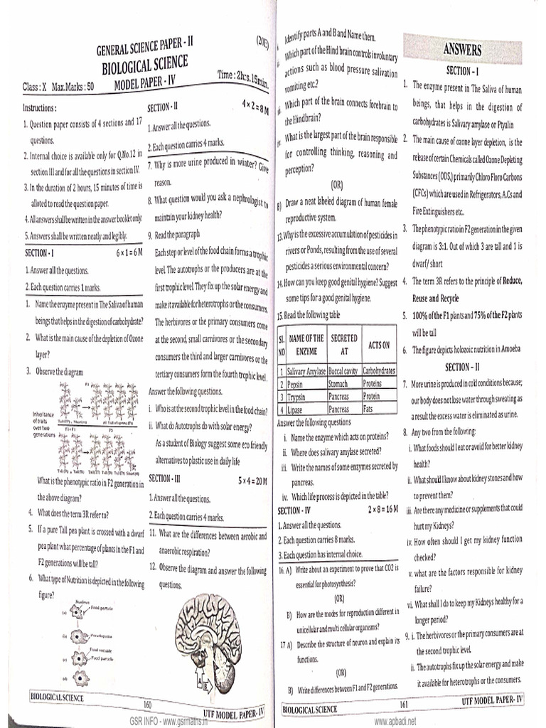Bio - UTF MODEL QP - UTF Model Paper 3 | PDF
