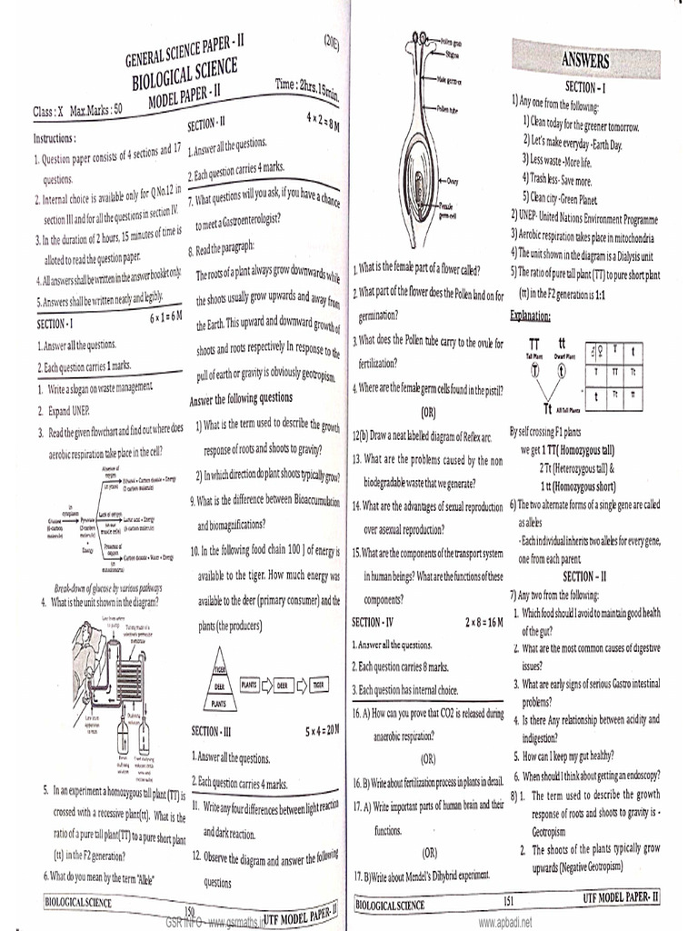 Bio - UTF MODEL QP - UTF Model Paper 2 | PDF