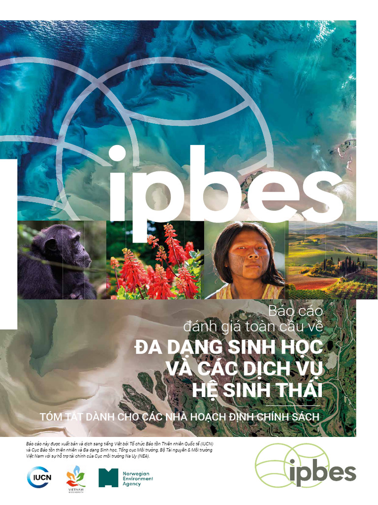 final_baocao_danhgiave_ddsh | PDF